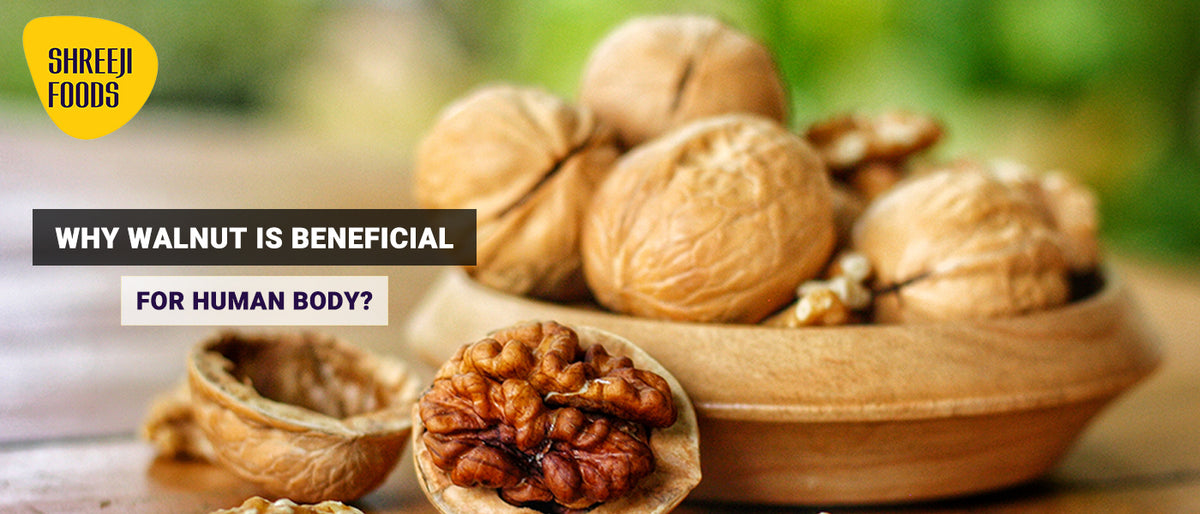 Why Walnut is Beneficial for Human Body – Shreeji Foods