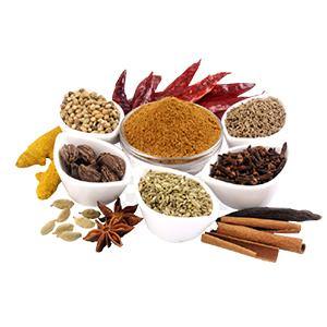 Buy Spices at reasonable prices @ shreeji foods – Shreeji Foods